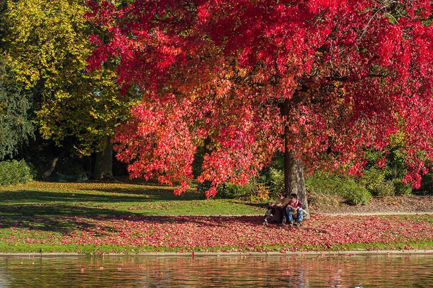 Photos d'automne à Paris